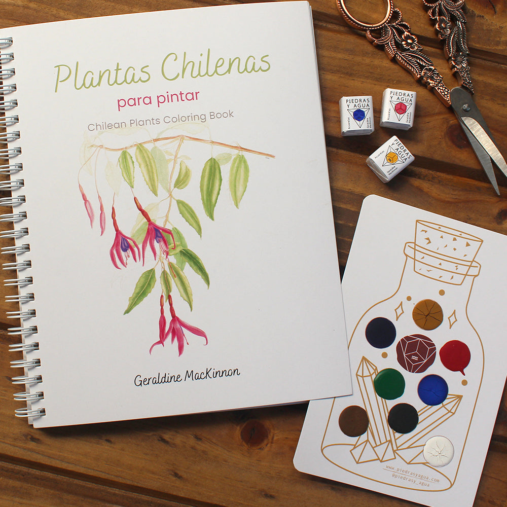 Libro Plantas Chilenas para Pintar – Piedras y Agua